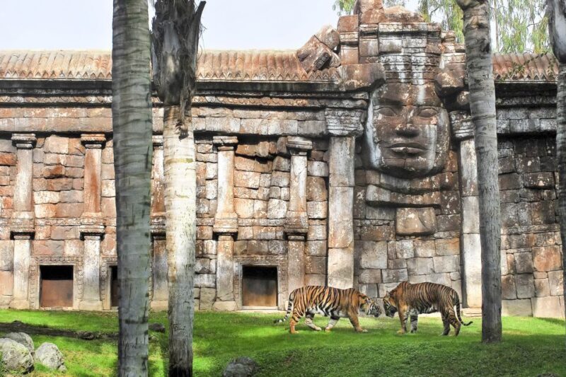 Fuengirola: Bioparc Entrance Ticket - Discovering Bioparc Fuengirola: A Top Spot for Animal Lovers and Curious Travelers
