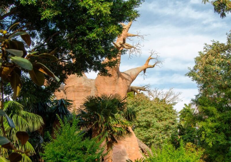 Fuengirola: Bioparc Entrance Ticket - Frequently Asked Questions