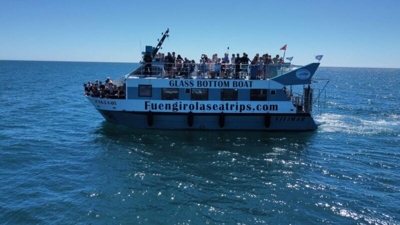 Fuengirola: Catamaran Tour to Spot Dolphins - Key Points