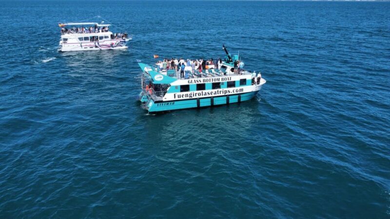 Fuengirola: Catamaran Tour to Spot Dolphins - A Genuine Look at the Catamaran Dolphin Tour