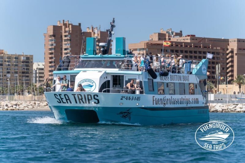 Fuengirola: Catamaran Tour to Spot Dolphins - The Sum Up