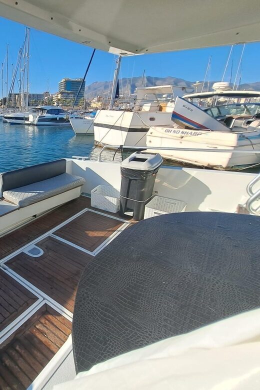 Fuengirola: Dolphin Spotting Tour - What’s Included and What to Bring