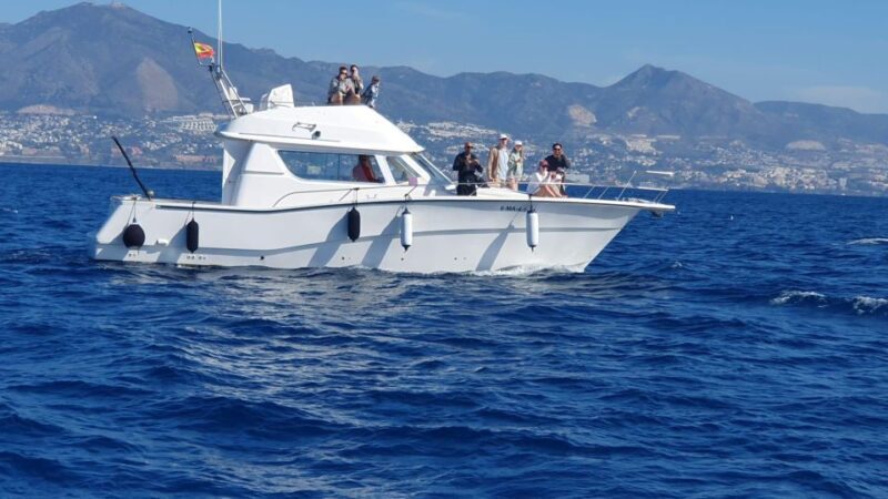 Fuengirola: Dolphin Watching Boat Trip  Fun for All Ages - The Sum Up