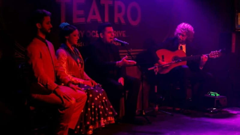 Fuengirola: Flamenco Show - The Value and Practicalities 