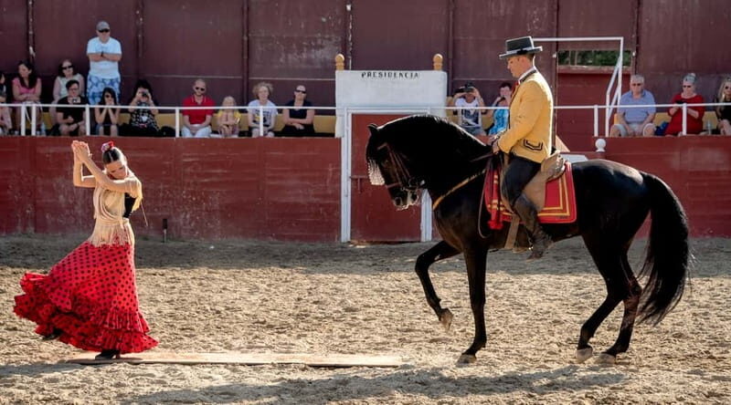 Fuengirola: Spanish Horse Show with Optional Dinner/Flamenco - The Itinerary Breakdown: What You Can Expect