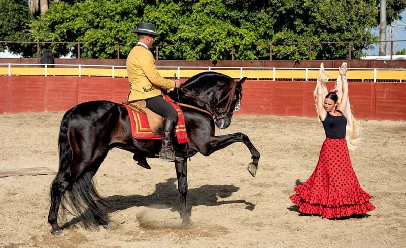 Fuengirola: Spanish Horse Show with Optional Dinner/Flamenco - Final Thoughts: Who Will Love This?