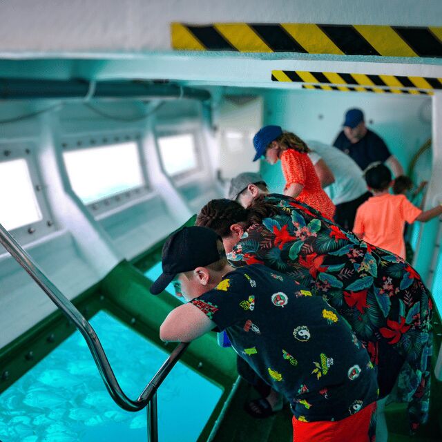 Fuerteventura: 1-Hour Mini Swim & Snorkel Cruise - Key Points