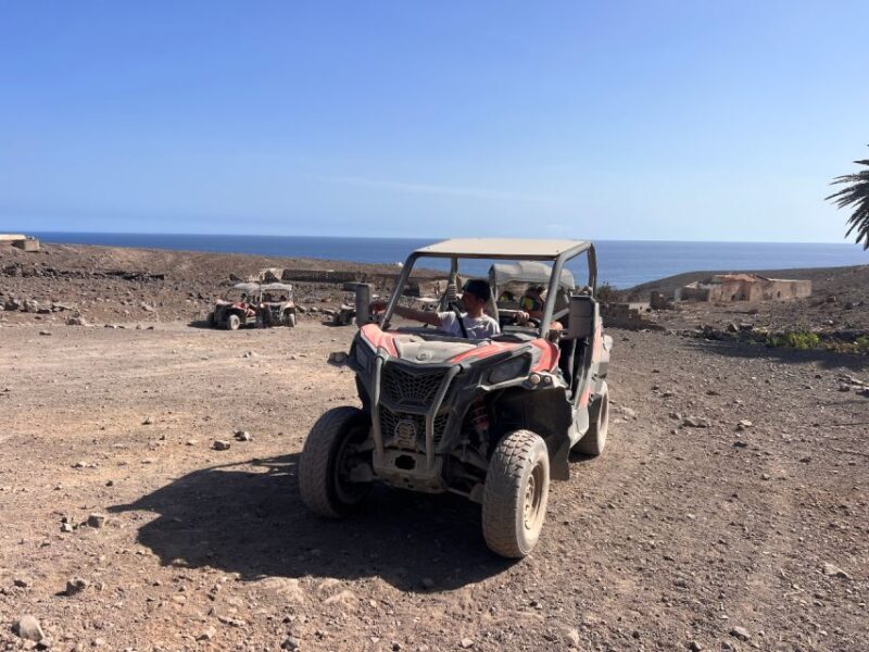 Fuerteventura : 2 hours Buggy Tour in Punta de Jandía - Who Should Book This Tour?