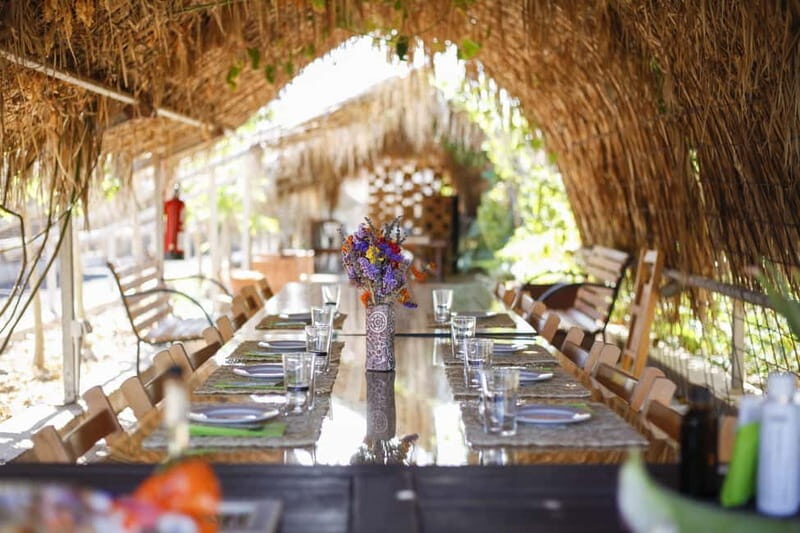 Fuerteventura Aloe & Olivo Tour with Optional Lunch - Key Points