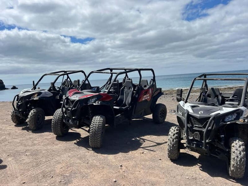 Fuerteventura: Can am buggy experience Costa Calma - What to Expect from the Fuerteventura Can-Am Buggy Tour