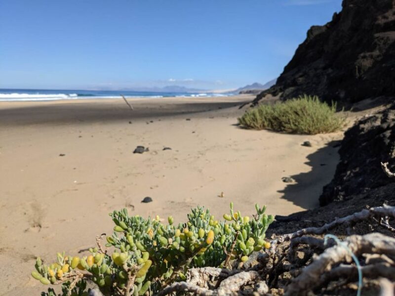 Fuerteventura: COFETE HIKING TOUR: Pick up in the SOUTH - Who Will Love This Experience?