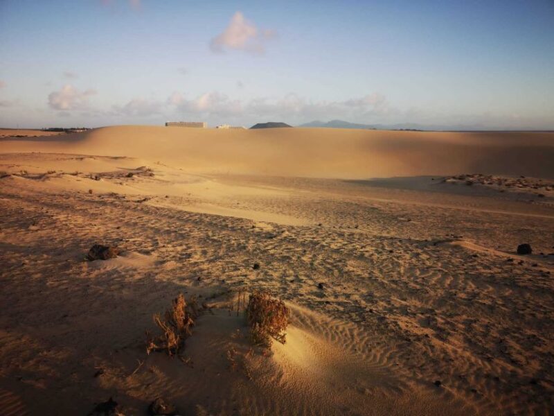 Fuerteventura: Corralejo Sand Dunes Guided Shore Excursion - The Sum Up