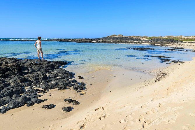 Fuerteventura: DISCOVER FUERTEVENTURA TOUR 7 hours max 8 people - Key Points