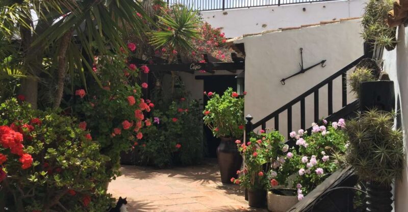 Fuerteventura: Discovery Tour - Final Thoughts