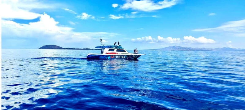 Fuerteventura: Dolphin watching and Lobo Island Combo Cruise - Who Will Enjoy This Tour?