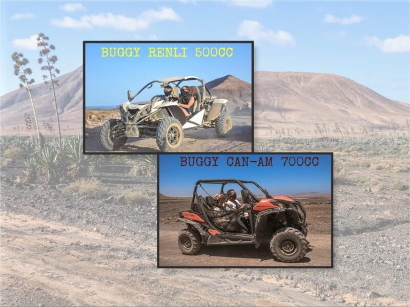 Fuerteventura: Dune Buggy Tour in Northern Fuerteventura - Key Points