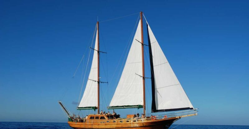 Fuerteventura: Exclusive Turkish Gulet Cruise with Lunch - What the Reviews Tell Us