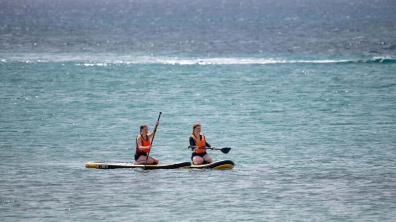 Fuerteventura: Explore Costa Calma Bay on a SUP Board! - Family-Friendly and Flexible