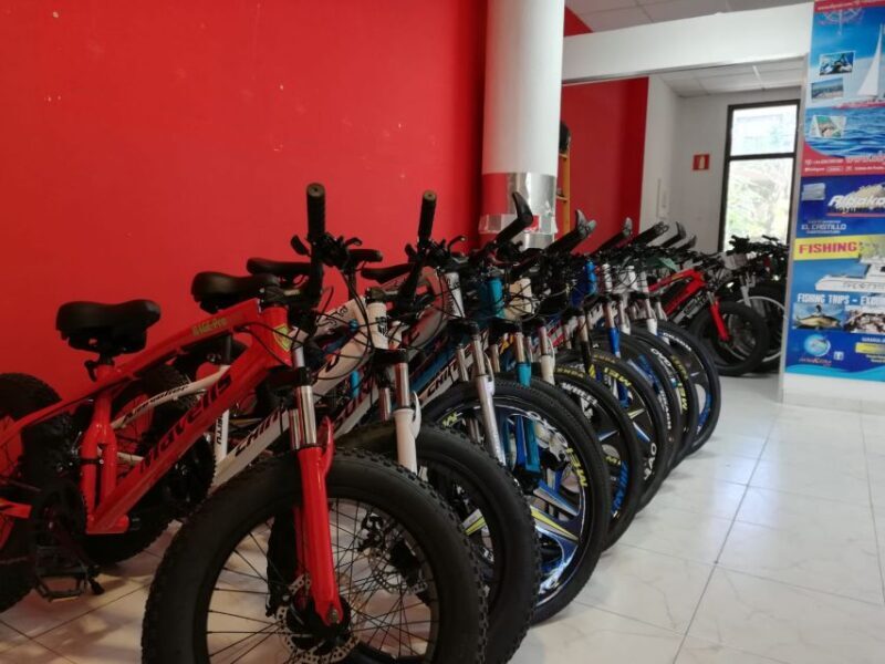 Fuerteventura: Explore the Area with a Bike Rental - The Realities of the Bike Quality
