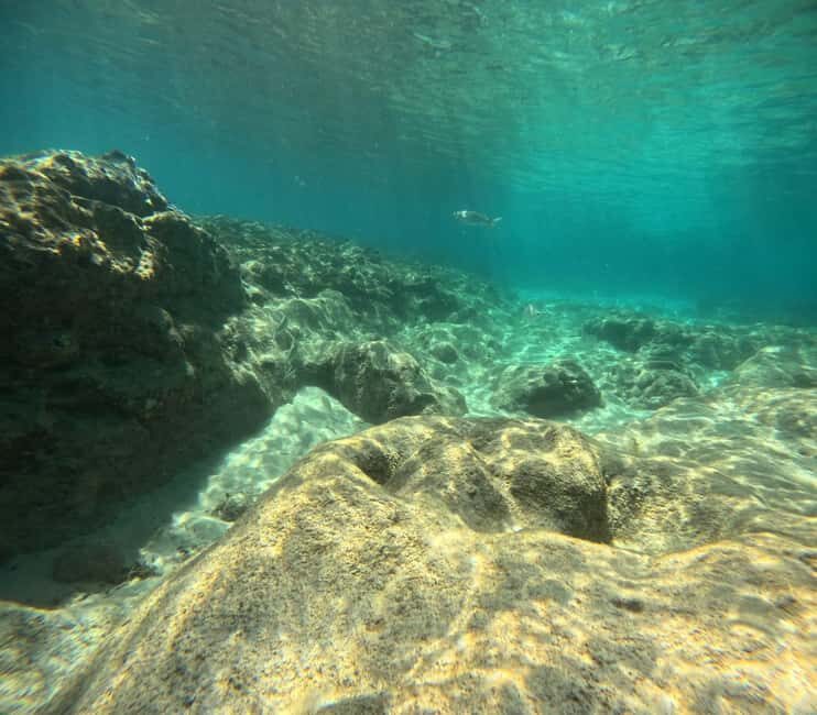 Fuerteventura: First Scuba Experience  Calm 1:1 Dive - The Value for Money