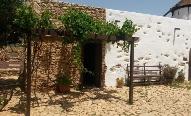 Fuerteventura: Full Day Tour with Lunch - Practical Details and Comfort