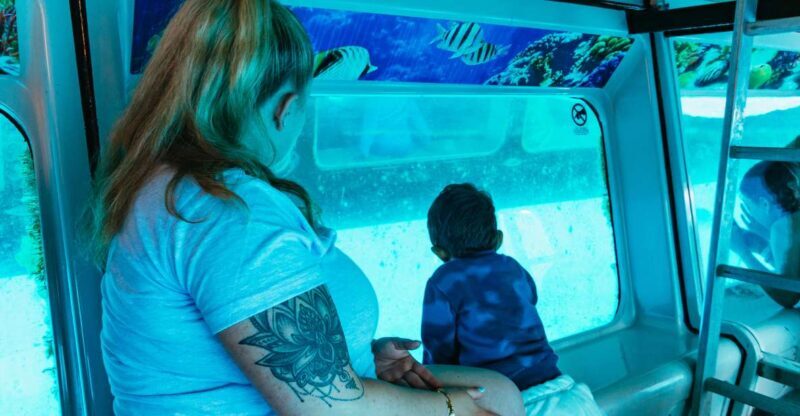 Fuerteventura: Glass Bottom Boat Cruise with Lunch & Drinks - Wildlife Spotting: Dolphins, Whales, and Sea Turtles