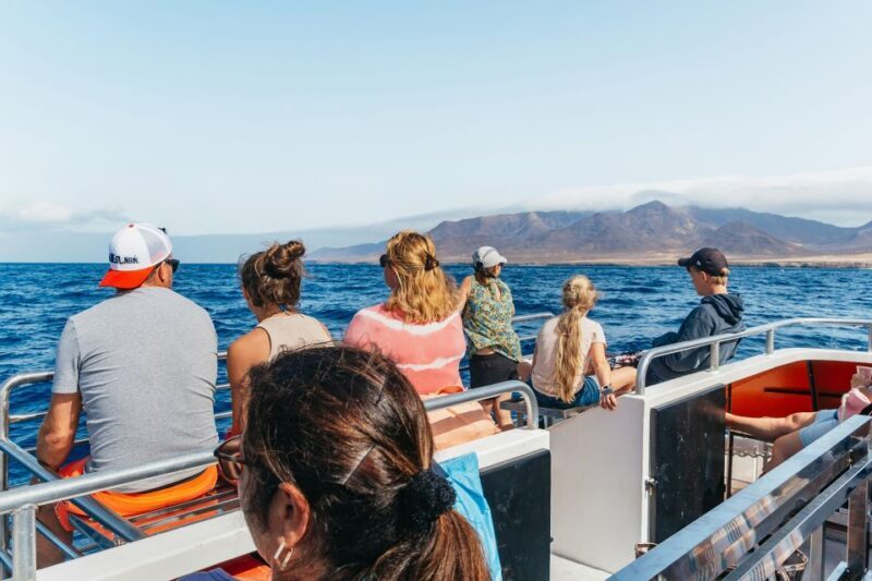 Fuerteventura: Glass Bottom Boat Cruise with Lunch & Drinks - Lunch with a View: Canarian Flavors on Deck
