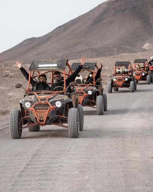 Fuerteventura: Jandía Natural Park & The Puertito Buggy Tour - Wildlife and Nature