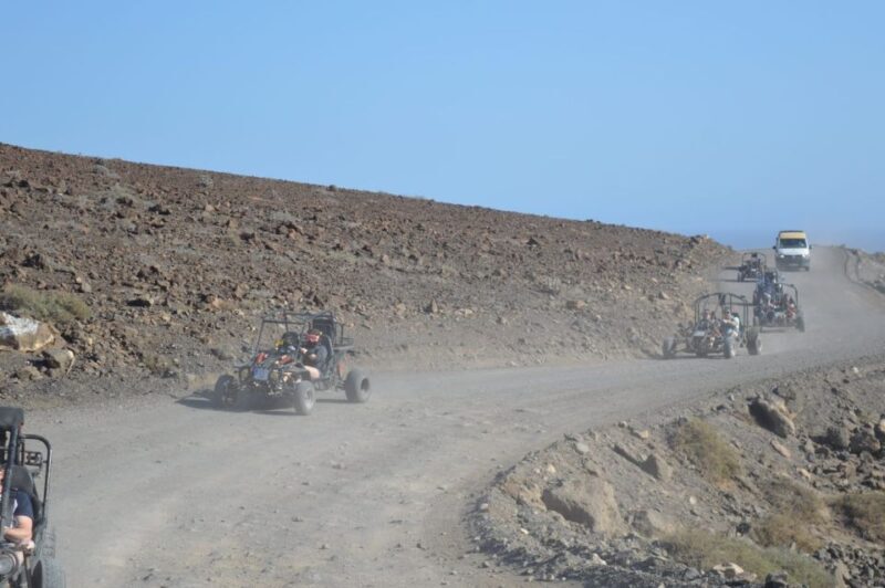 Fuerteventura: Jandía Natural Park & The Puertito Buggy Tour - Experience and Value