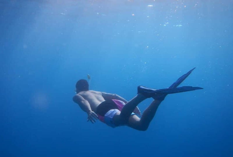 Fuerteventura: Lobos Island Catamaran Cruise with Lunch - Fuerteventura: Lobos Island Catamaran Cruise with Lunch - A Complete Guide