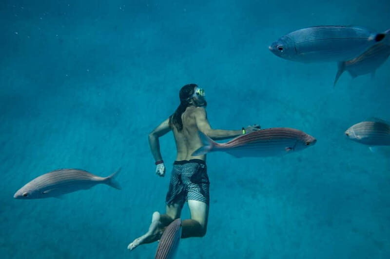 Fuerteventura: Lobos Island Catamaran Cruise with Lunch - Analyzing the Experience and Value