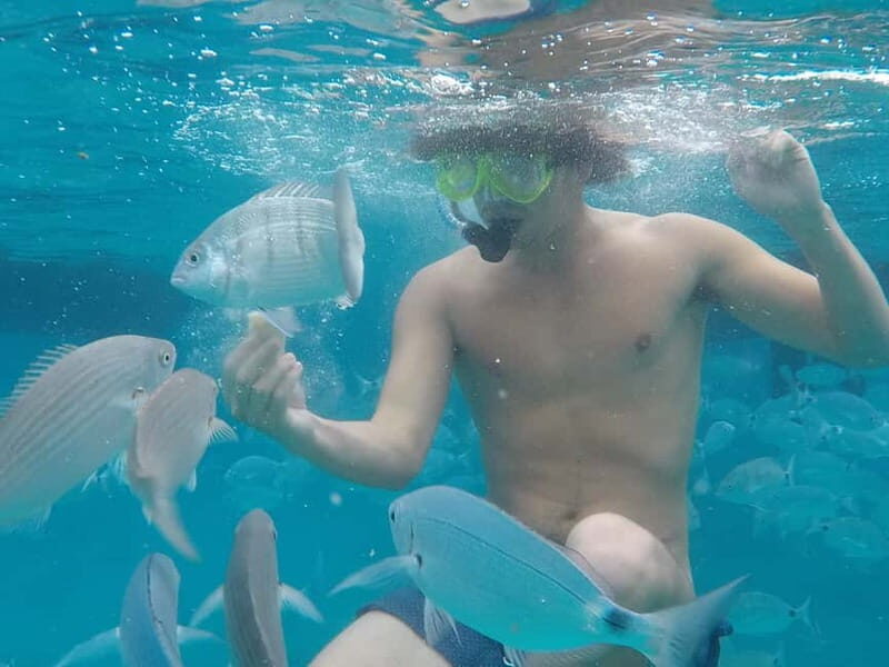 Fuerteventura: Lobos Island Catamaran Cruise with Lunch - FAQ