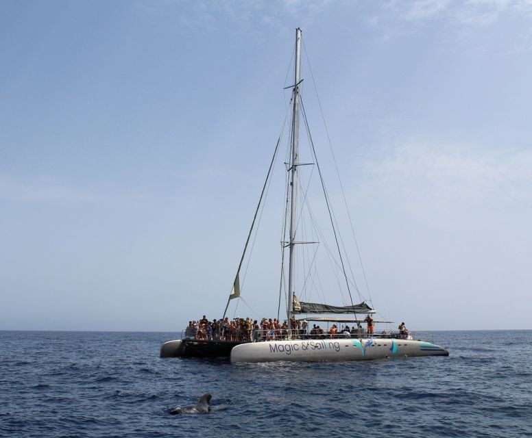 Fuerteventura: Magic Catamaran Trip with Food and Drinks - Final Thoughts