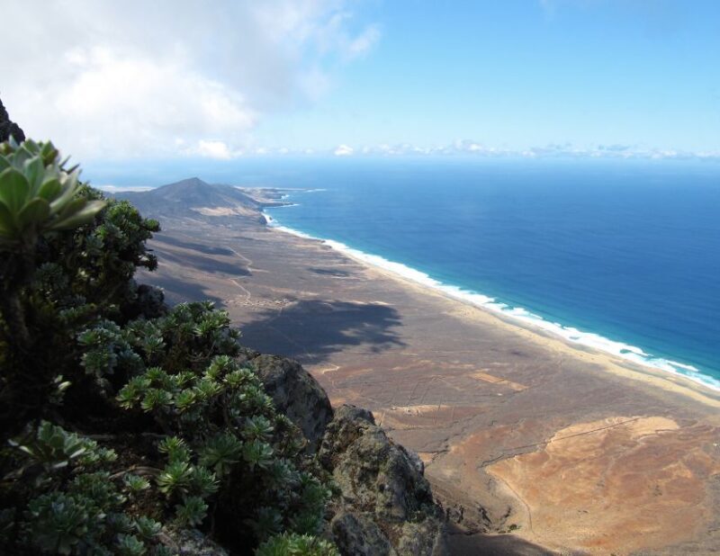 Fuerteventura: Pico de la Zarza Tour - Discovering the Fuerteventura Highland: What to Expect