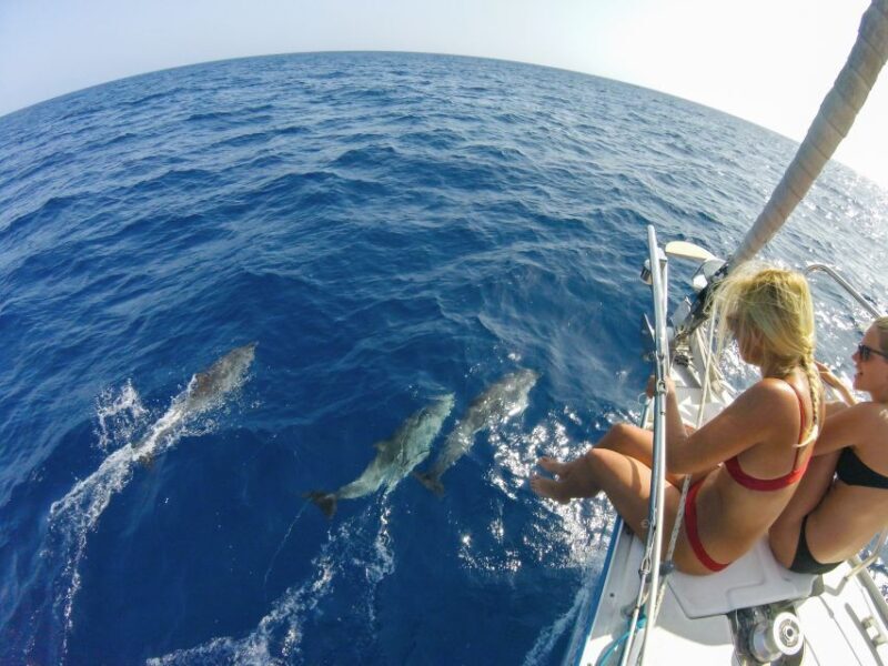 Fuerteventura: Sailing with Snorkeling and Dolphin Watching - The Experience in a Nutshell