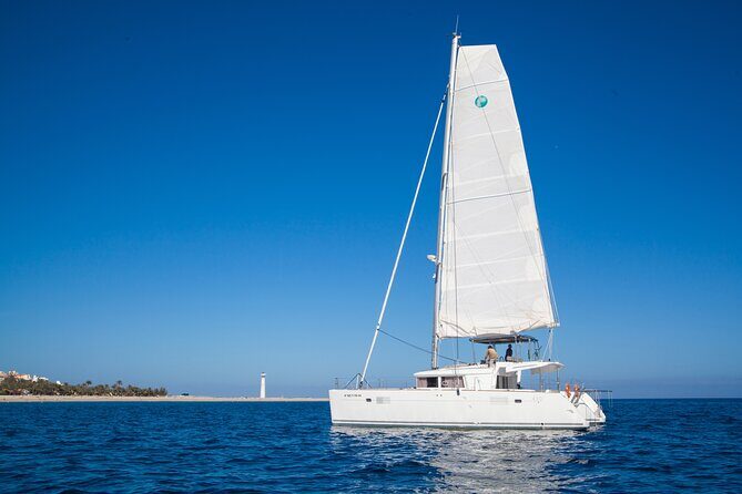 Fuerteventura: Small-Group Magic Deluxe Catamaran Cruise - The Sum Up