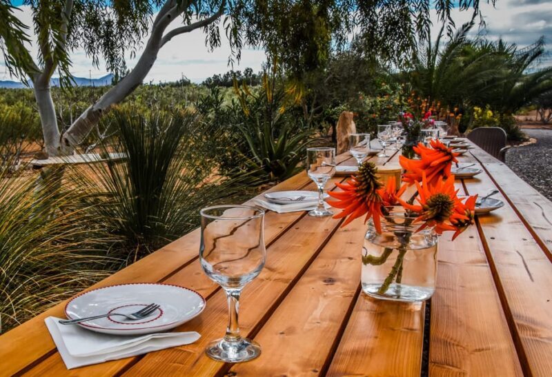 Fuerteventura: Tapas and Local Life Guided Tour - Potential Drawbacks