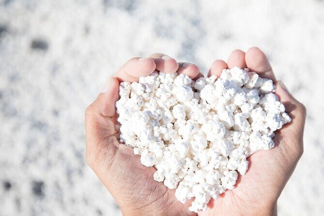 Fuerteventura: The Panoramic VIP island Tour. All HOTSPOTS! - Key Points