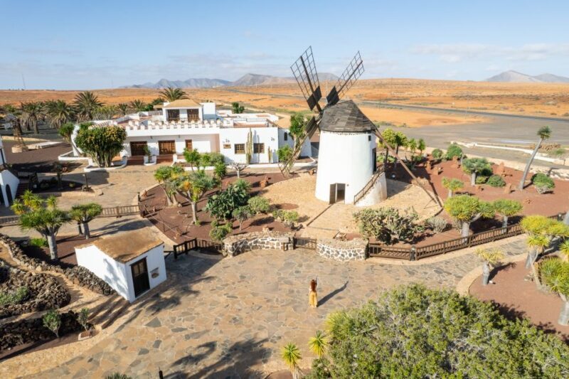 Fuerteventura: Tickets to Salt, Cheese and Windmill Museums - An Introduction to Fuerteventura’s Cultural Gems