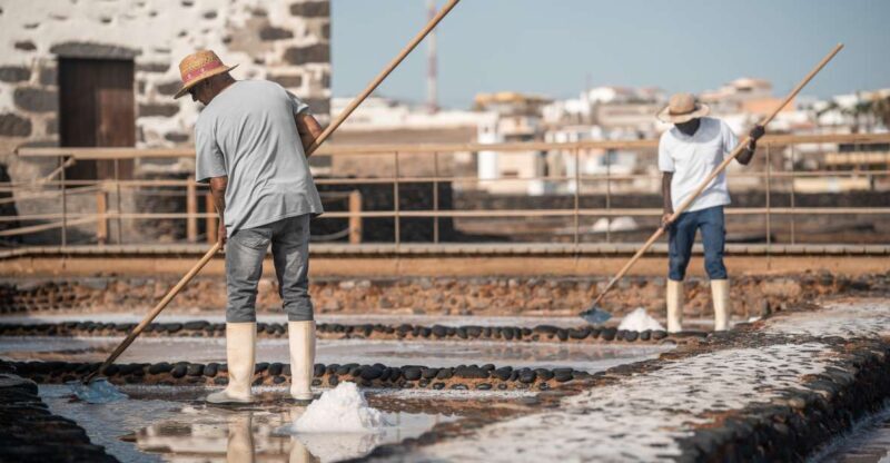 Fuerteventura: Tickets to Salt, Cheese and Windmill Museums - Who Will Love This Tour?