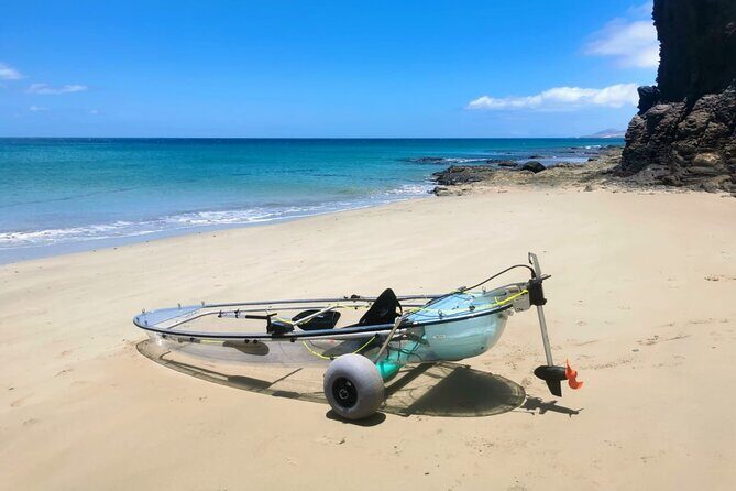 Fuerteventura Transparent Electric Kayaks with Guide - Practical Tips for Booking and Participating