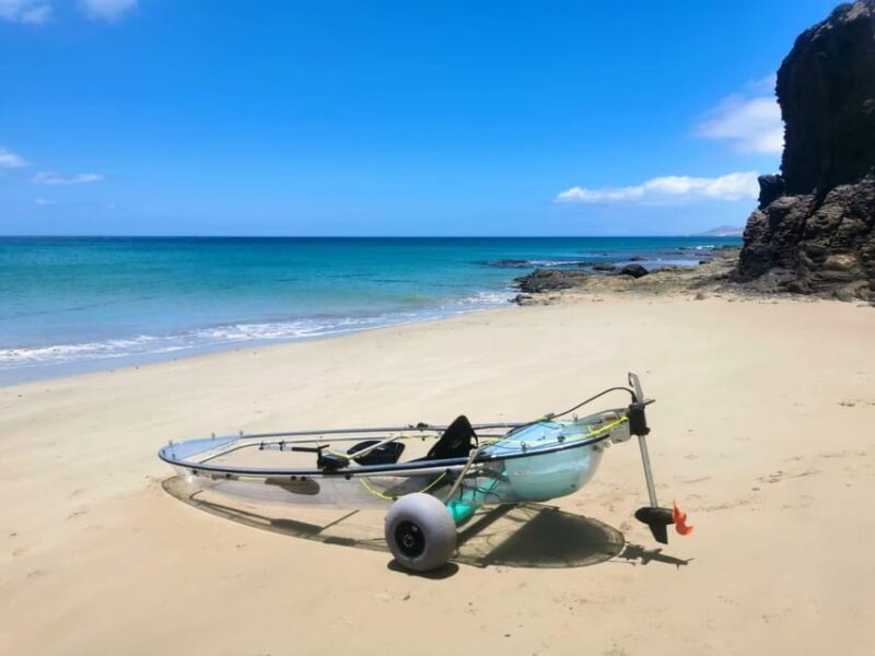 Fuerteventura: Transparent Electric Kayaks with Guide - Final Thoughts: Is This Experience Right for You?