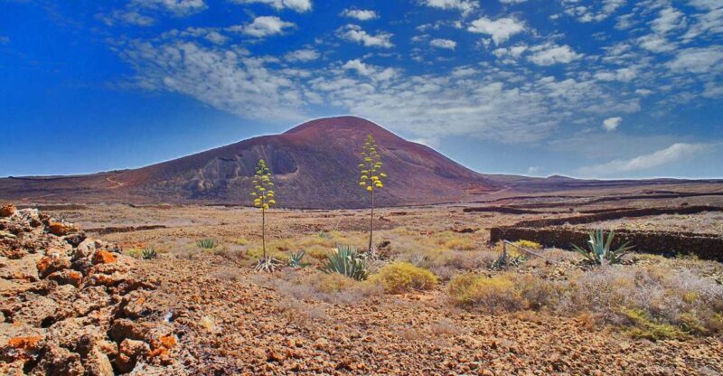 Fuerteventura: Trekking Tour Through the North of the Island - Exploring Fuerteventura’s North: What You Can Expect