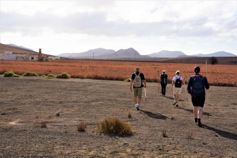 Fuerteventura: volcanic hike to the crater edge - Who Will Love This Tour?