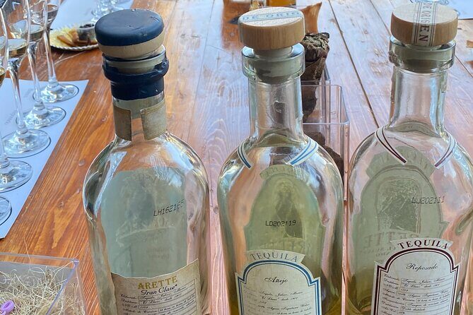 Full CDMX Experience | Prepare Your Own Tequila, Eat Tacos & Take a Dance Class - Key Points