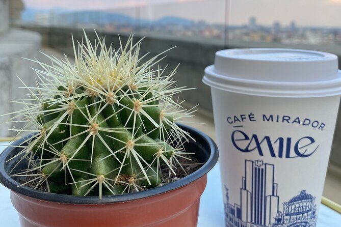 Full CDMX Experience | Prepare Your Own Tequila, Eat Tacos & Take a Dance Class - FAQs