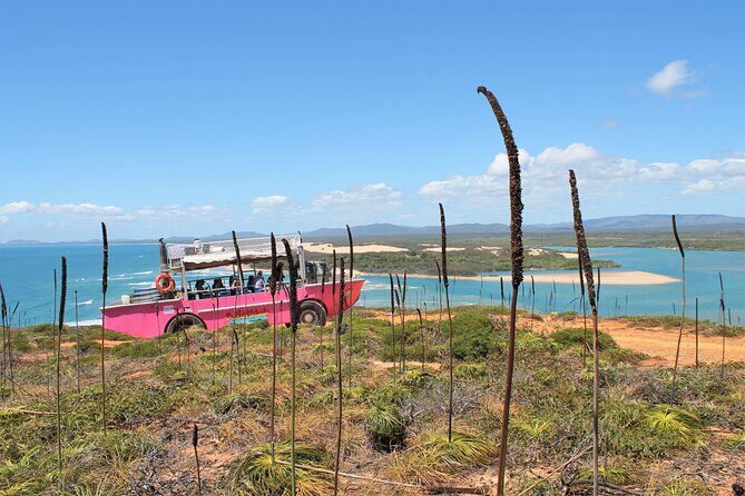 Full-Day 1770 Tour by LARC Amphibious Vehicle Including Sandboarding and Bustard Head Lightstation - FAQ