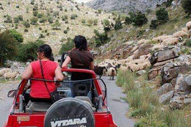Full-Day 4x4 Self-Drive Safari in East Crete with Lunch - Who Would Love This Experience?