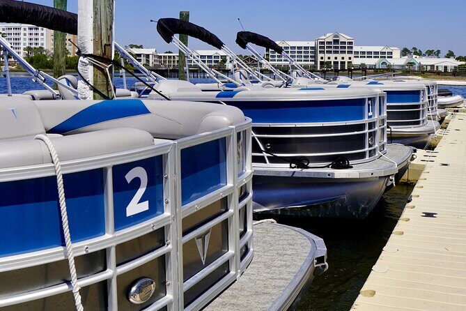 Full Day 90HP Pontoon Rental to Shell Island - The Sum Up