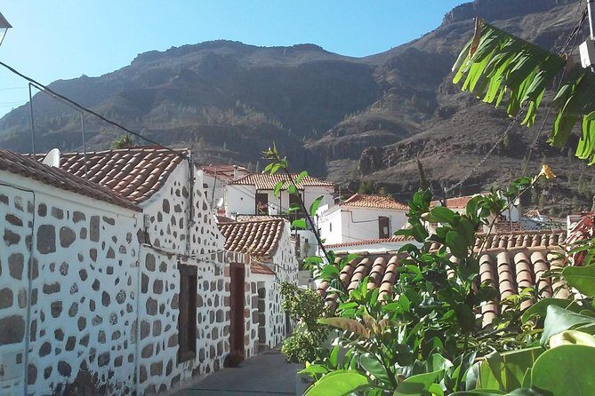 Full Day Across the Island Tour from Las Palmas - FAQ